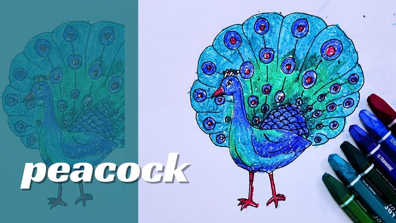 How to Draw Peacock - YouTube