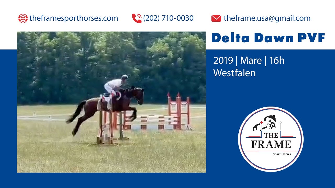Delta Dawn PVF ** Loudoun Pony Club Summer HT Stadium Jumping - YouTube