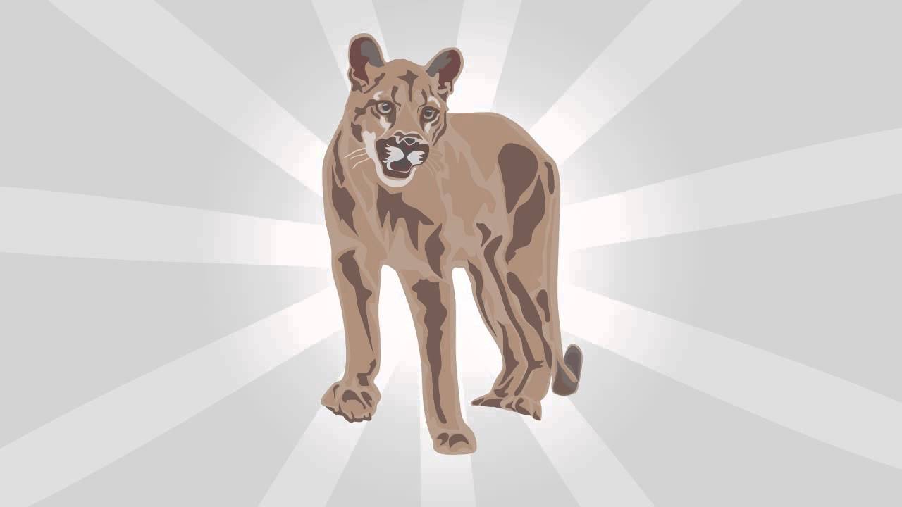 Cougar Snarl Sound Effects - YouTube