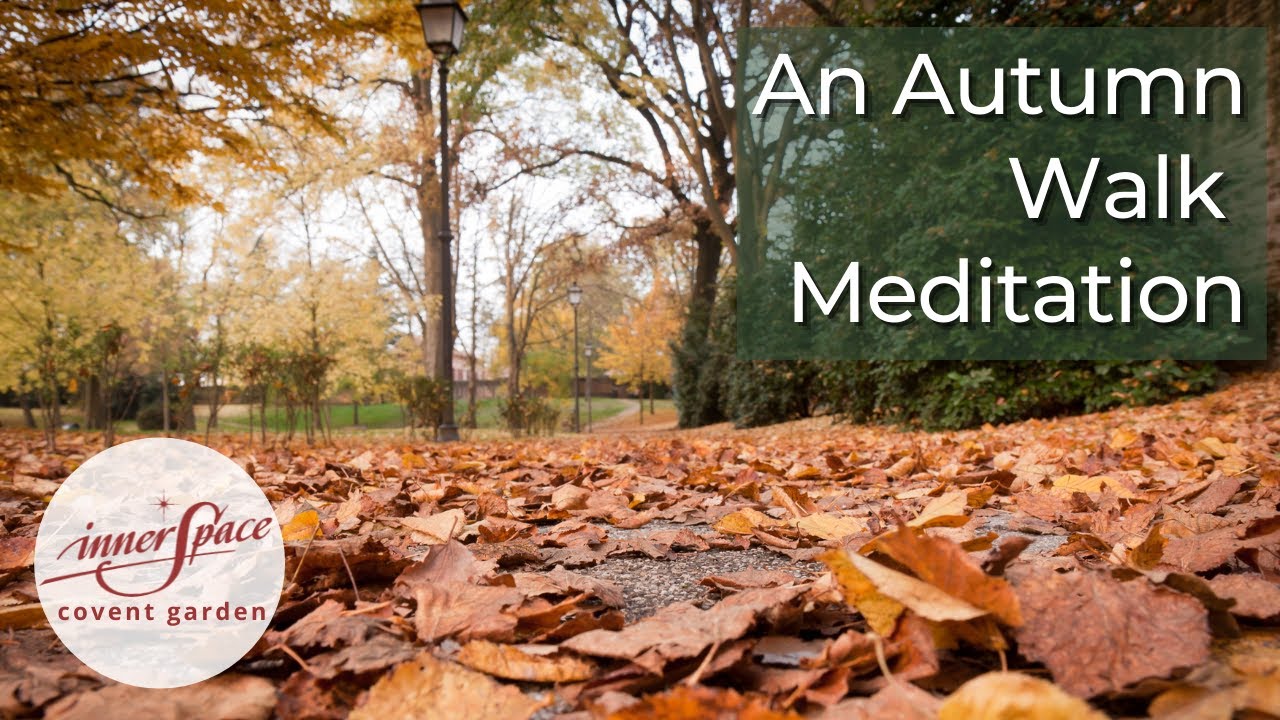 An Autumn Walk Meditation - YouTube