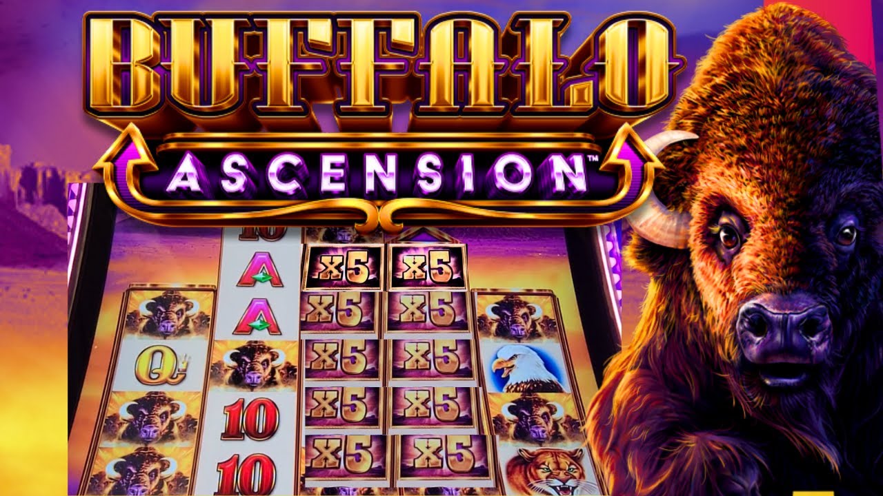 💥IT LANDED! BUFFALO ASCENSION 5400 MAXED REELS 3X 5X FREE SPINS!!!💥 ...