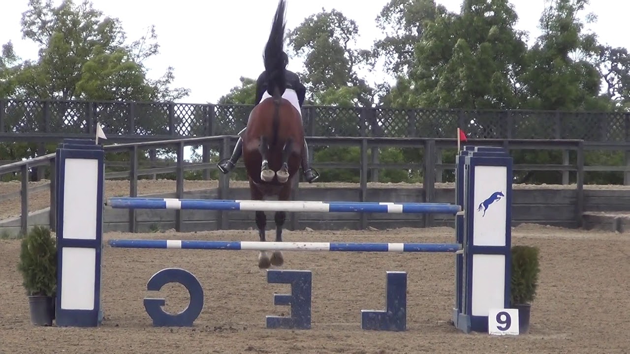 Abby Non Poseidon Woodside GP 2018 - YouTube