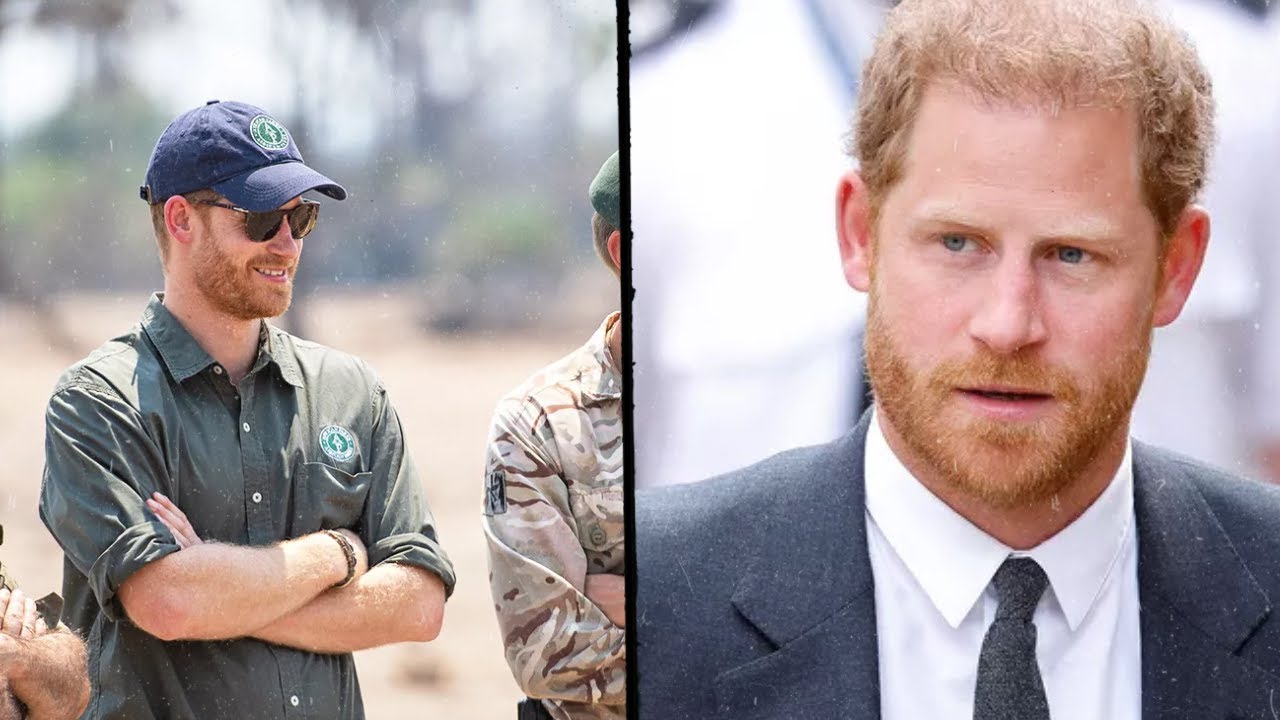 Should Prince Harry Resign from African Parks Amidst Abuse Scandal ...