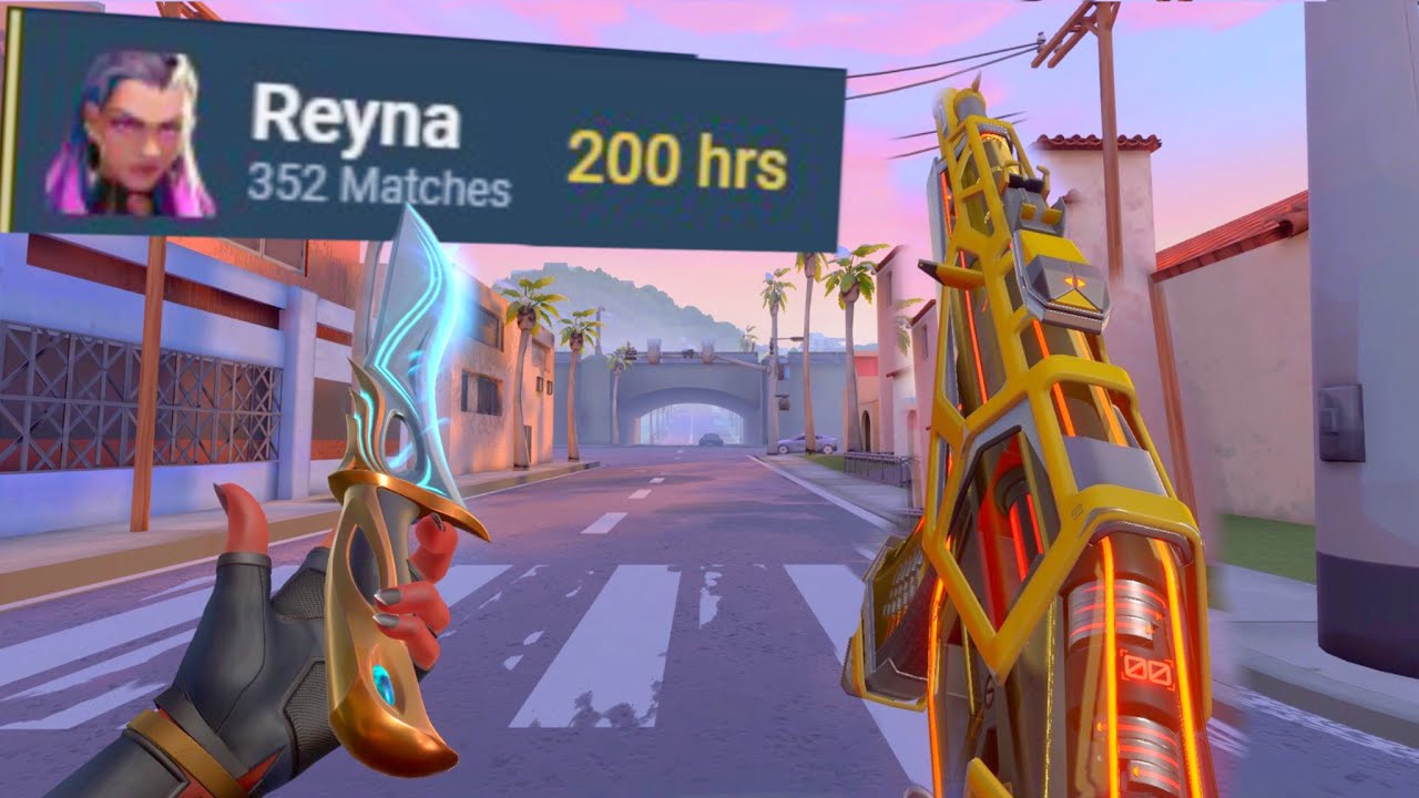 What 200 Hours of REYNA Looks Like... - YouTube