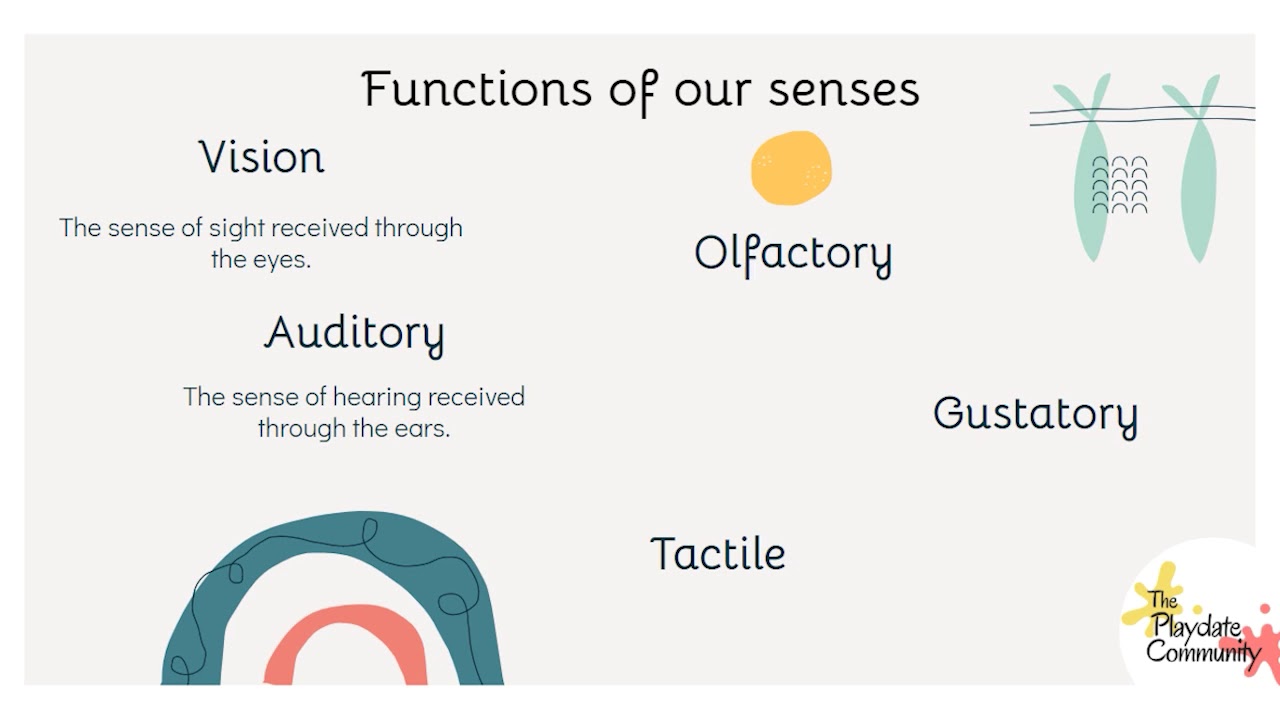Sensory Processing (Part 1) | Hannah Mehta | The Playdate Community ...