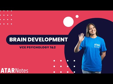 VCE Psychology 1&2 - Brain Development - YouTube