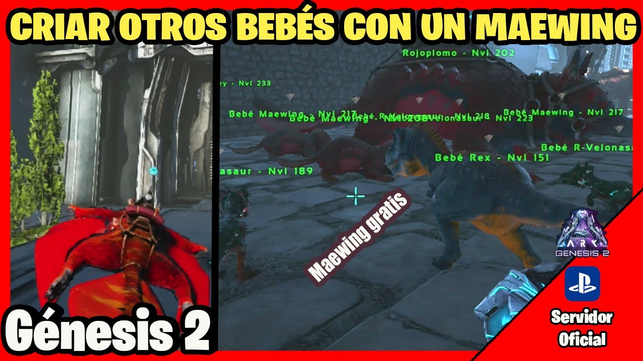 TODO sobre Maewing | Habilidades y crianza de otros bebés | ARK GÉNESIS ...