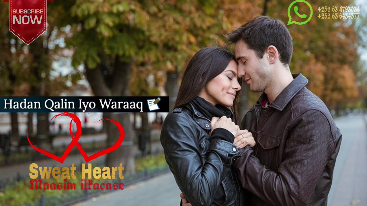 Hees macan ♡ WhatsApp status - YouTube