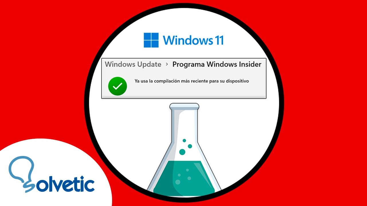 ️ Disable or enable 🔰 Windows Insider Windows 11 - YouTube