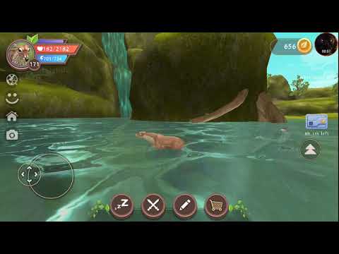 Wildcraft ~ Water Fall Den review - YouTube