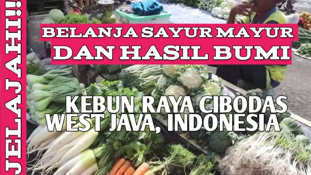 PART 1 JELAJAHI PASAR SAYUR MAYUR DAN HASIL BUMI DIKEBUN RAYA CIBODAS ...