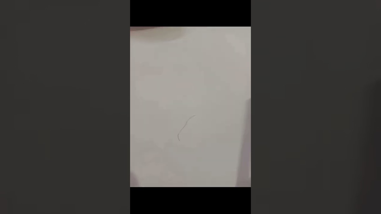 Drawing:Digestive system of ruminants #shorts - YouTube