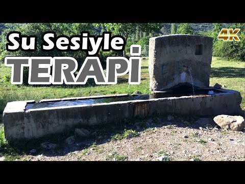 ŞİFALI SESLER SU SESİ ORMANDA KUŞ ÖTÜŞLERİ Stres Panik Atak Depresyon Tedavisi|TÜRKİYE KÖY ÇEŞMELERİ