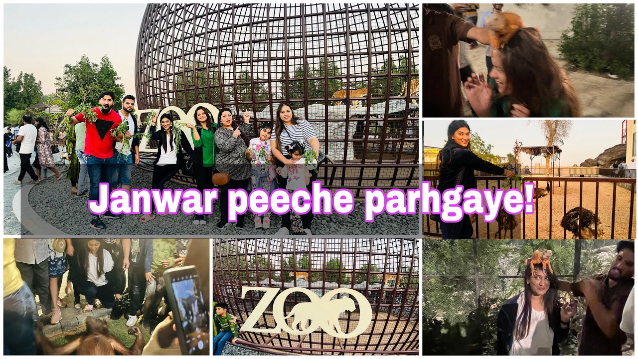 Umm al quwain Zoo || Wild Life Park || Zoo in UAE || Taani Rixvi ...
