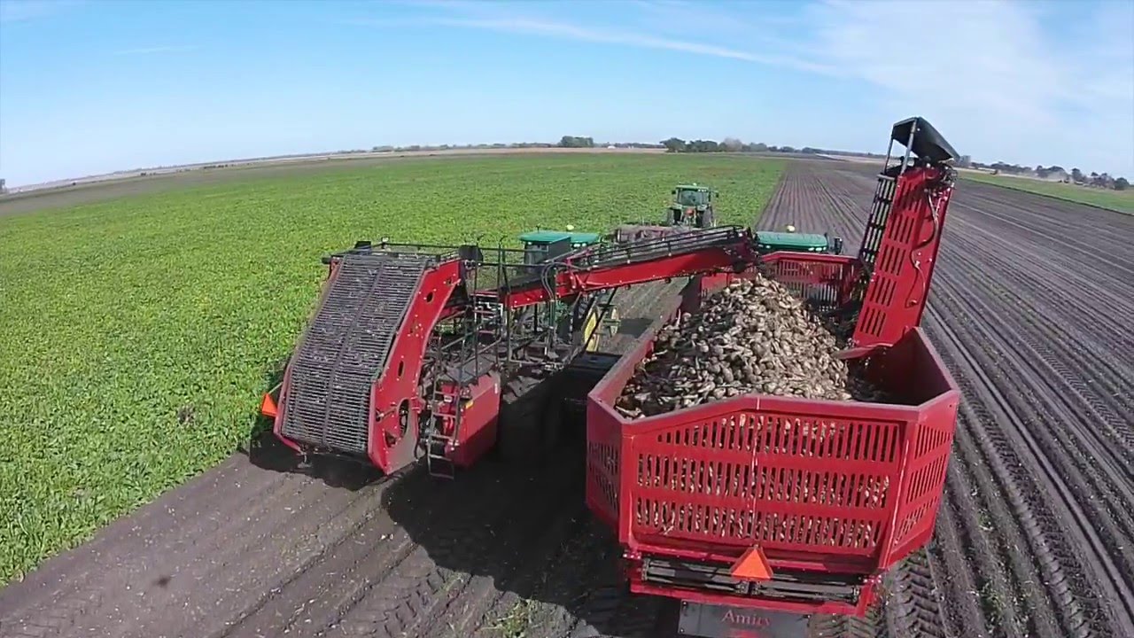 Amity Beet Cart - YouTube