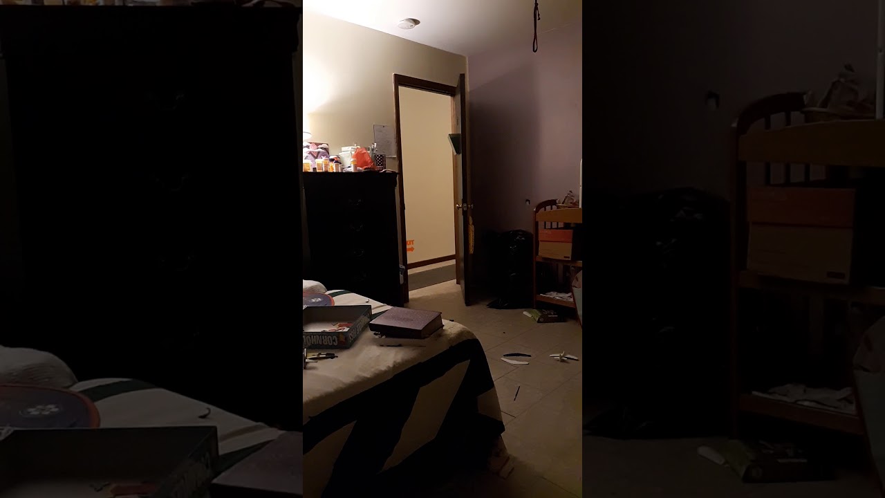 STRANGE CREATURE SIGHTED IN HALLWAY!!! 😱 - YouTube