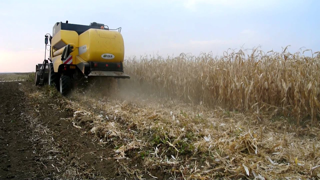 new holland csx 7040 corn harvest - YouTube