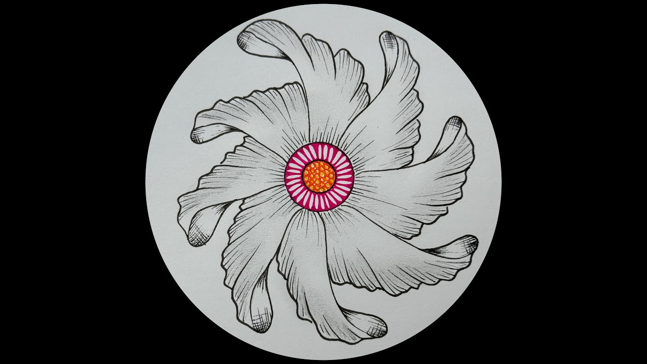 🌸 Step by Step Zentangle Flower 🌸 4min Zen Moment - YouTube