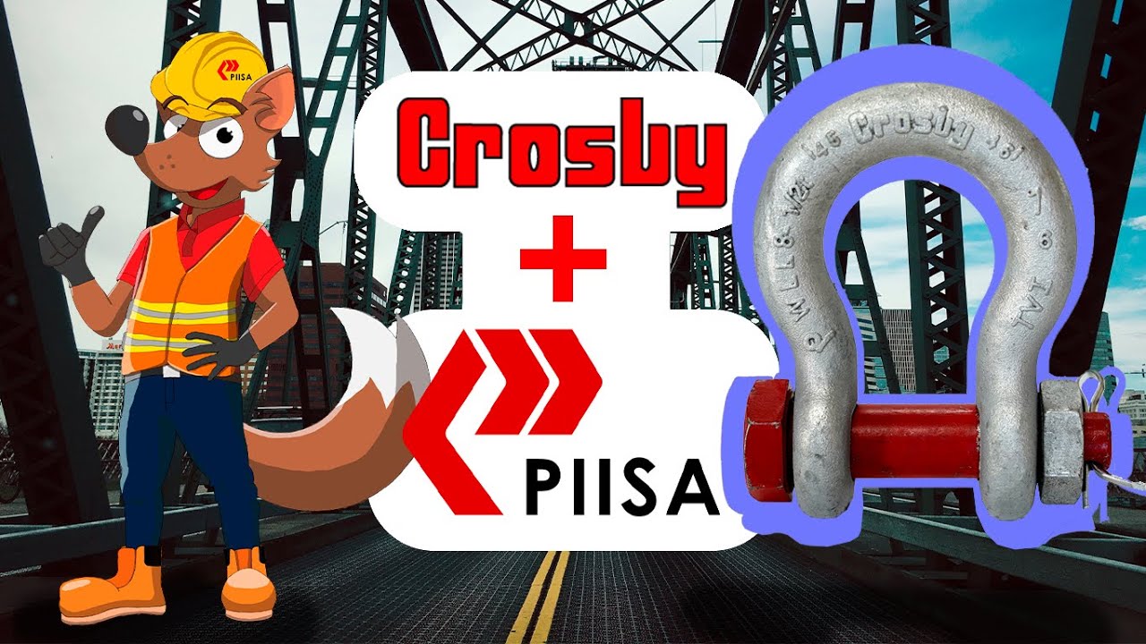 GRILLETE CROSBY - Sus Partes y Qué Significan Sus Letras y Números ...