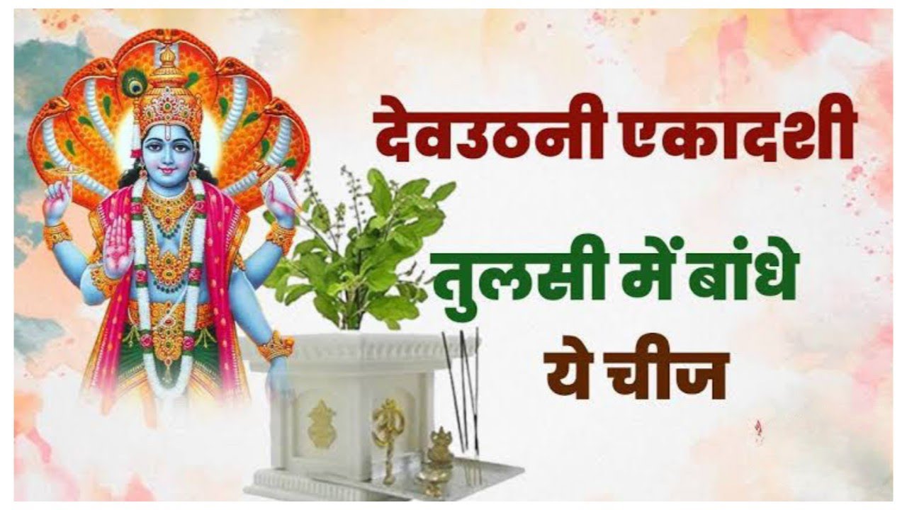 Happy Devuthani Ekadashi Tulsi Vivah ।तुलसी से जुड़े 5 काम अवश्य कर ...