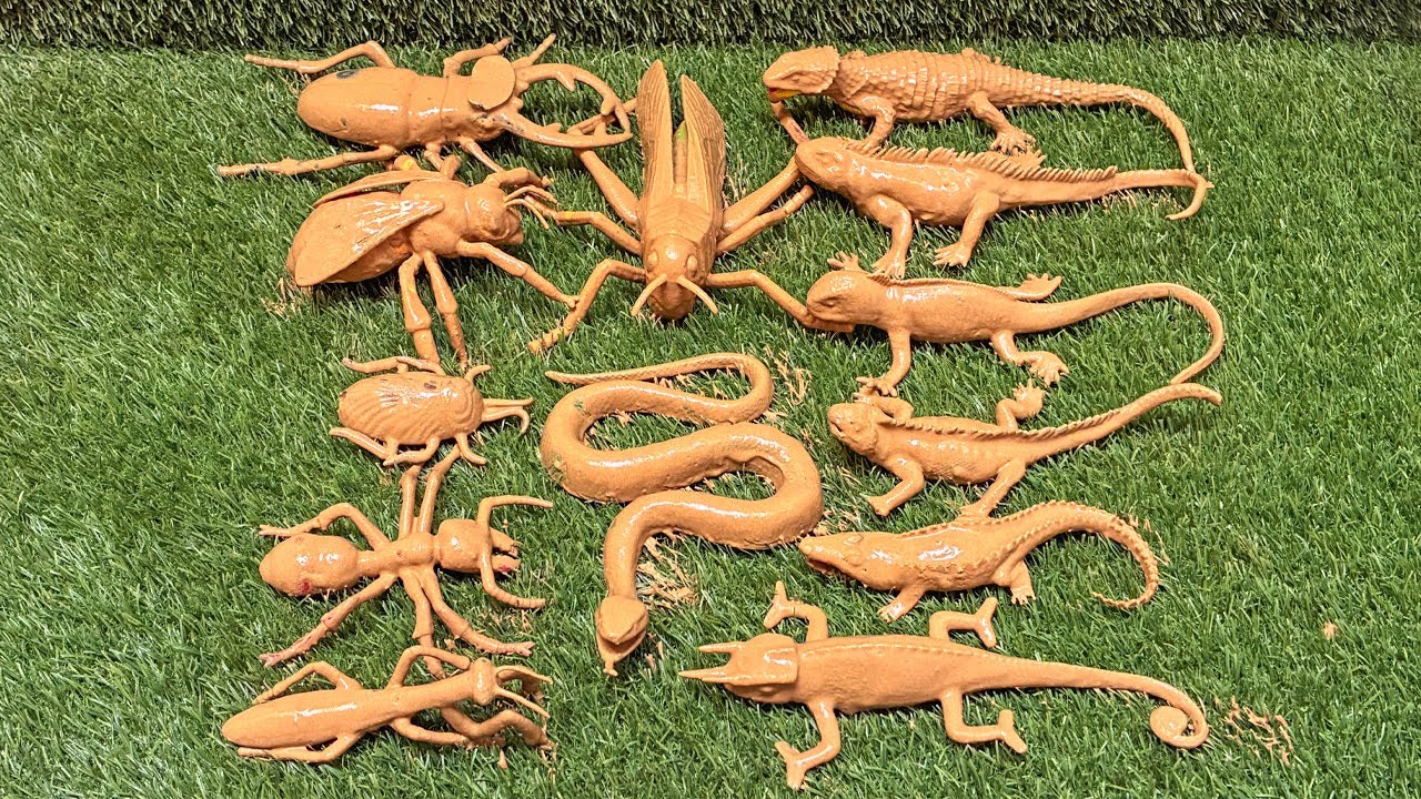 Bug Superpowers vs. Lizard Skills: The Amazing Sneaky World of Insects ...