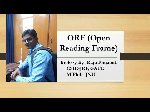 ORF (Open Reading Frame) - YouTube