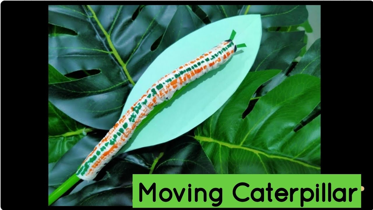 This Moving Caterpillar Paper Craft Will Blow Your Mind | paper toys ...