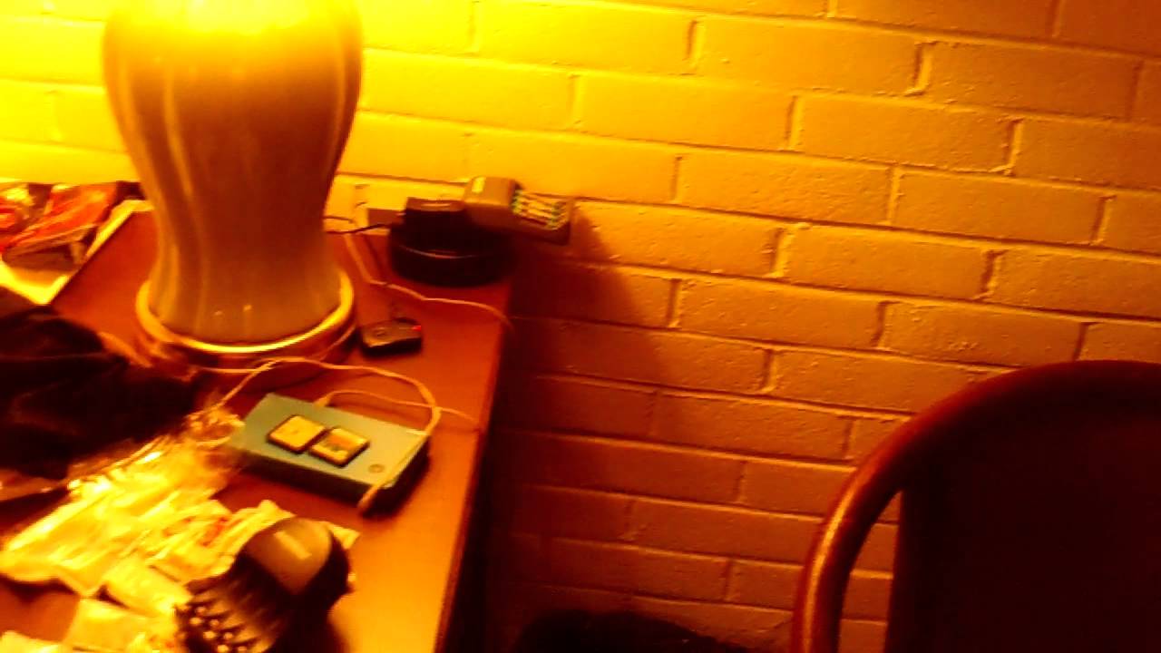 Best Western Adams Inn - YouTube