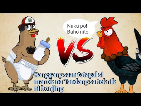 manok na bonjing laban Kay manok na tandang - YouTube