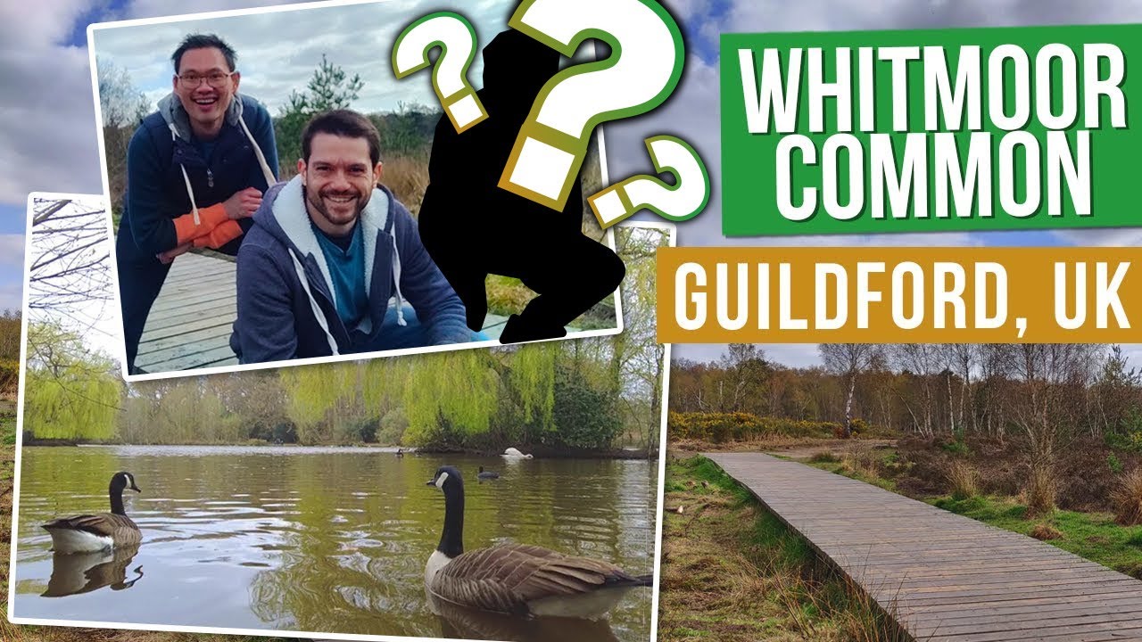 Exploring Whitmoor Common in Guildford with a MYSTERY GUEST! - YouTube