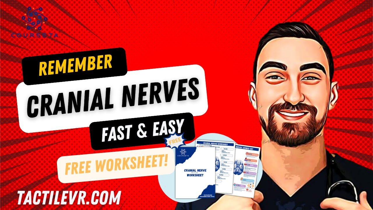 Cranial Nerves Made Easy for Nurses | Nursing Study Tips & Hacks - YouTube