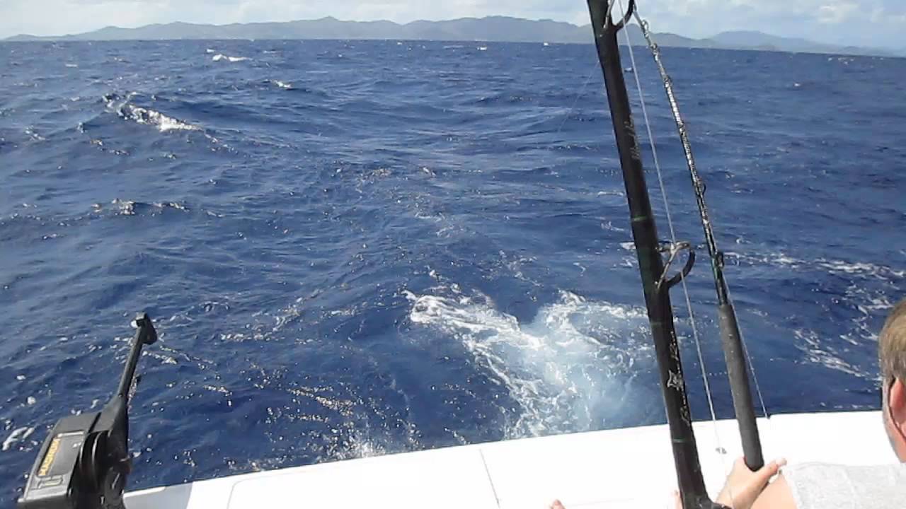 Mahi jumping - YouTube