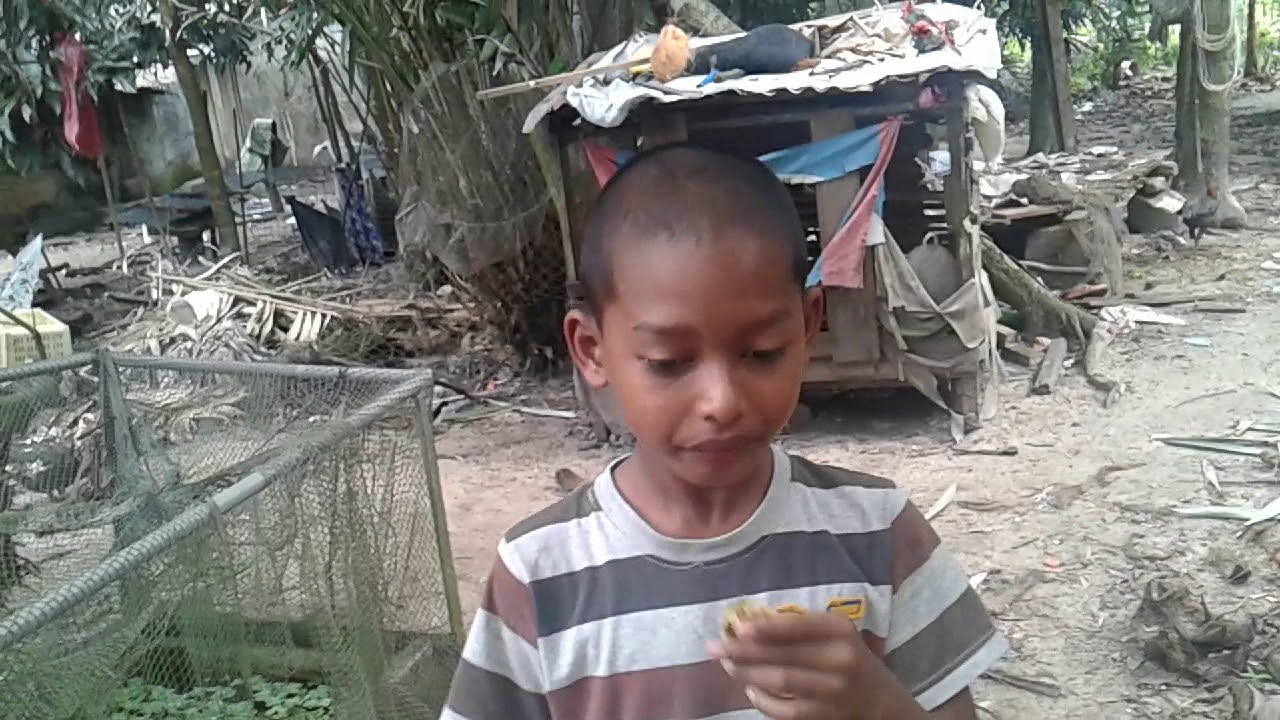 SIFAT TANGKAI JERING - YouTube