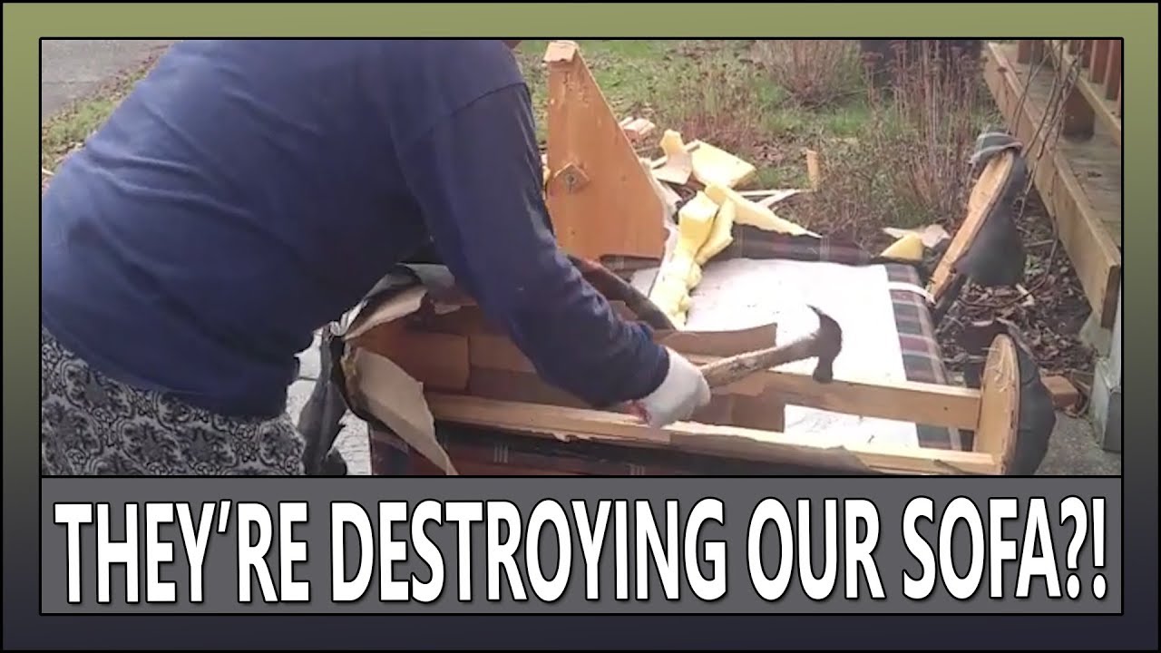 01222018: They destroyed our sofa! | Vlog #1494 - YouTube