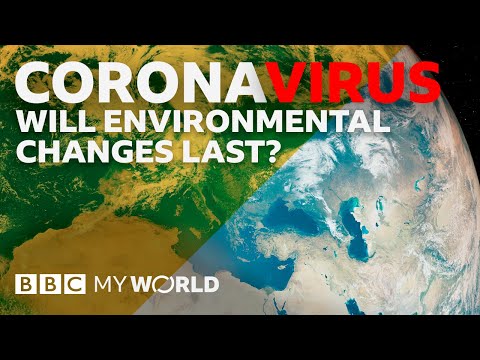 Will the environment benefit from Coronavirus? - BBC My World