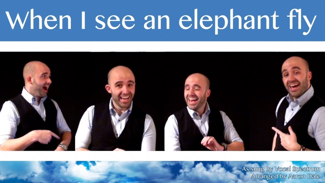 When I see an elephant fly tag (Vocal Spectrum) - Barbershop Quartet ...