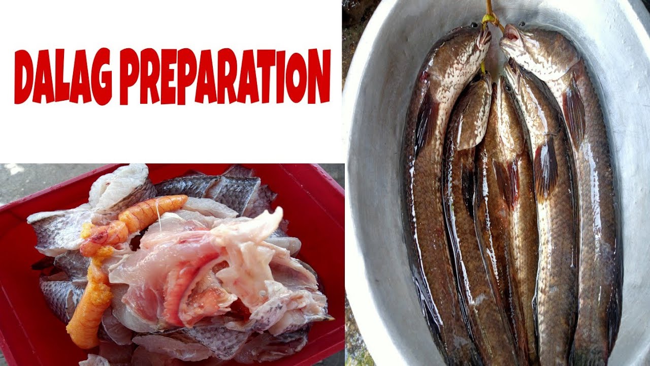 DALAG PREPARATION/PAANU MAGLINIS NG DALAG (CLEANING DALAG) [PAGLILINIS ...