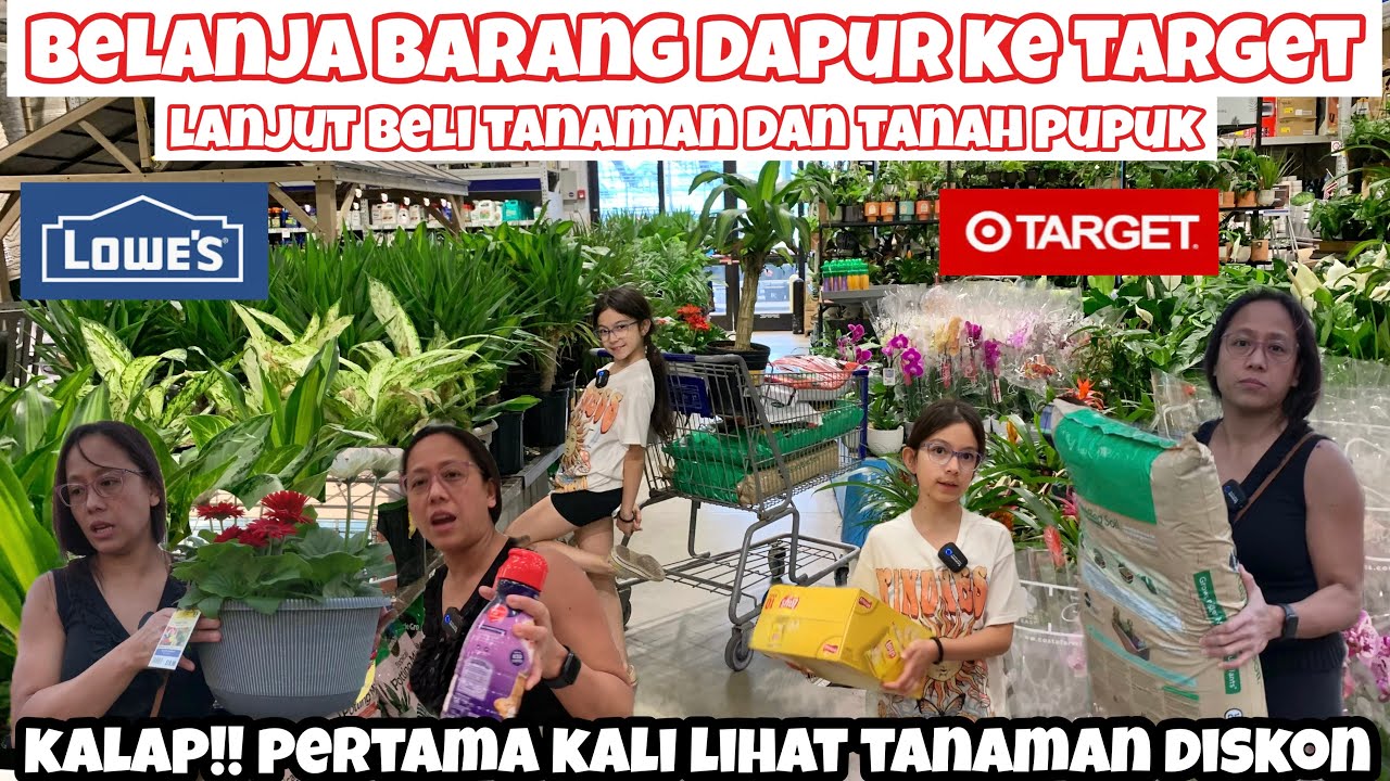 BELANJA BARANG DAPUR KE TARGET SUPERMARKET LANJUT BELI TANAMAN DAN ...