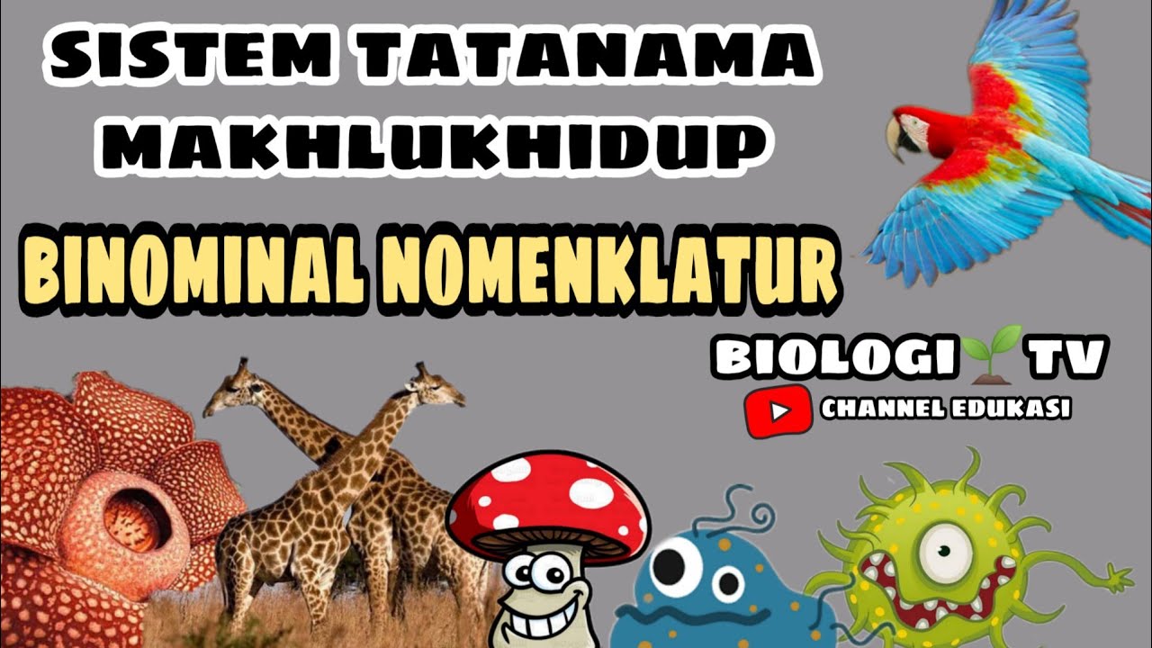 Sistem tatanama makhluk hidup, binominal nomenklatur, kaidah, tatacara | biologi semester sma ...