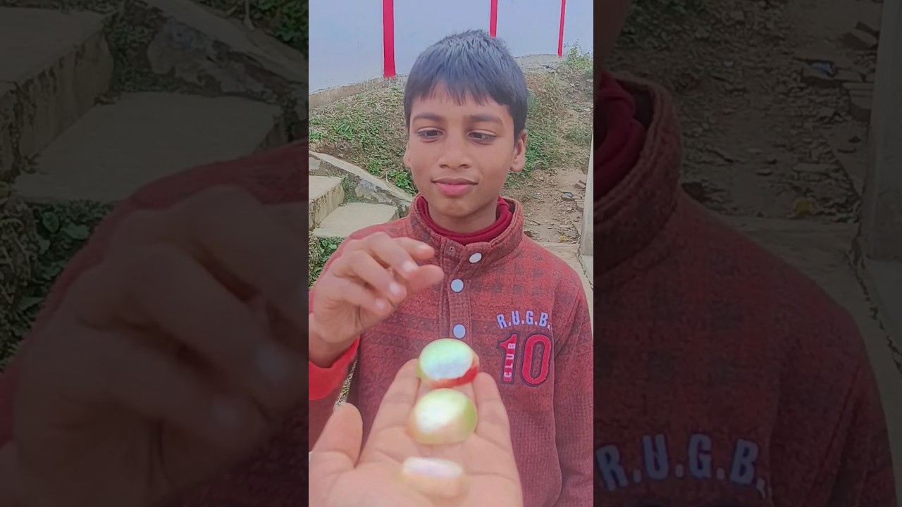 Lemon Prankyoutube Shortsvideo Youtube