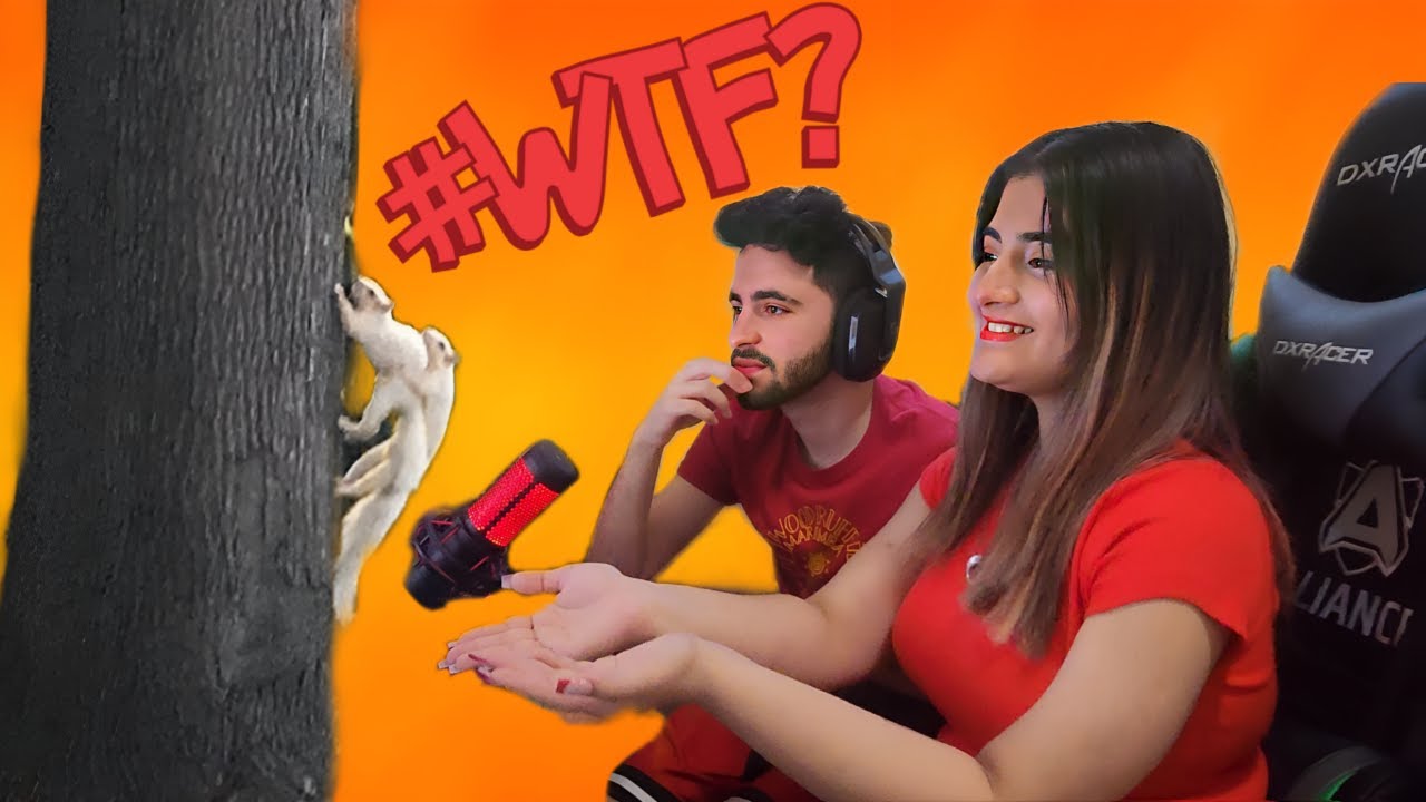 😨دیدن عکس و فیلم از صحنه های خیلی تصادفی Youtube