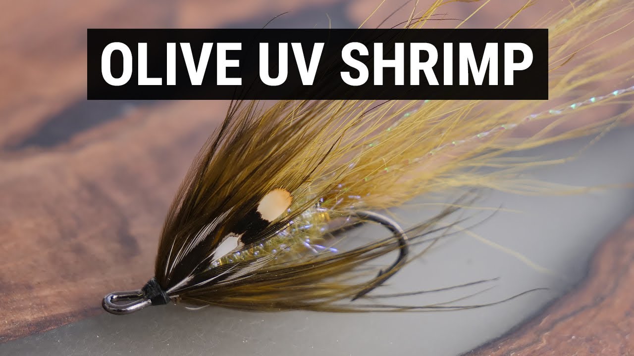 Fly Tying Tutorial: Olive UV Shrimp - YouTube