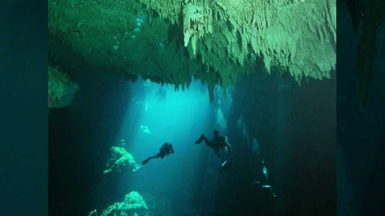 The Pit - Cenote Yucatan- Mexico --- Cave Diving - YouTube