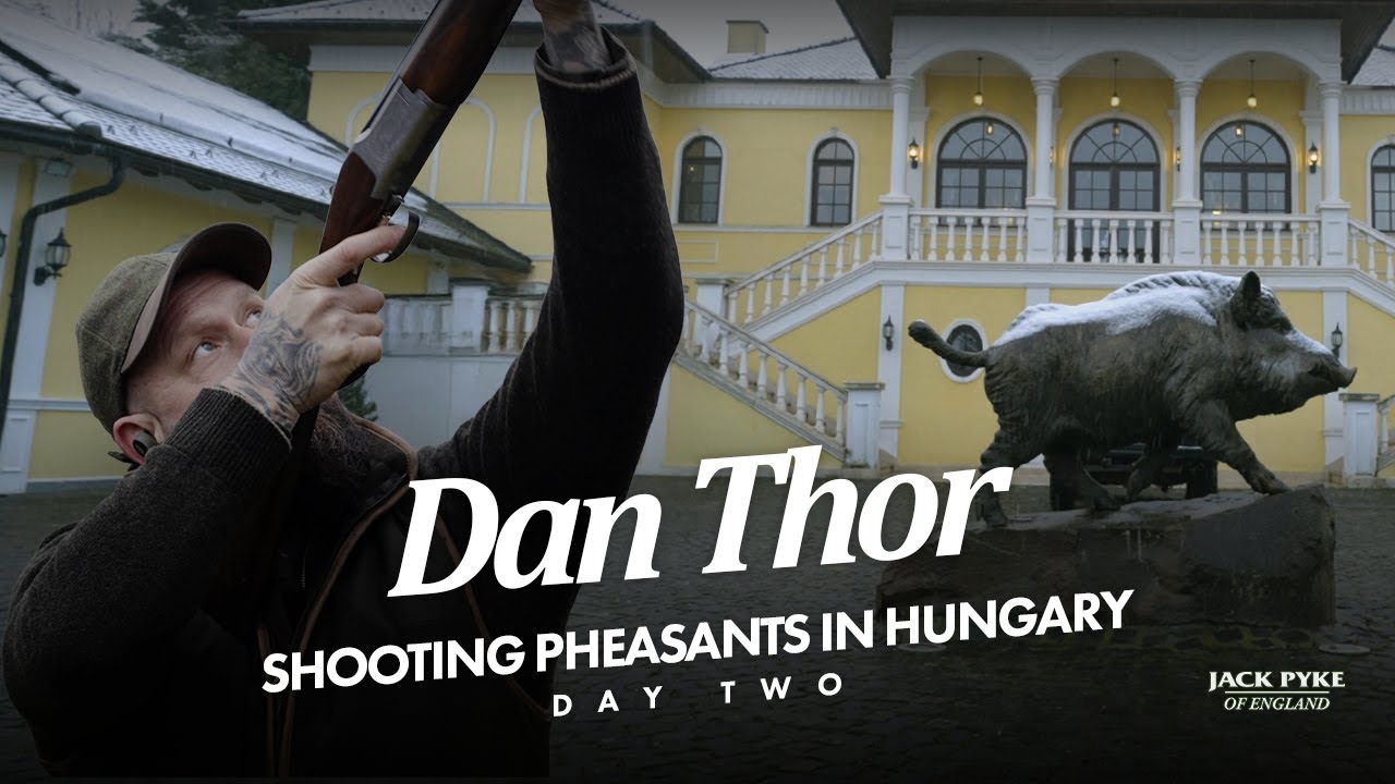 Dan Thor shooting pheasants in Hungary, day two | Fieldsports ...