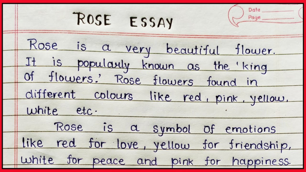 Rose essay in english writing | Essay on rose in english | Few lines on Rose - YouTube