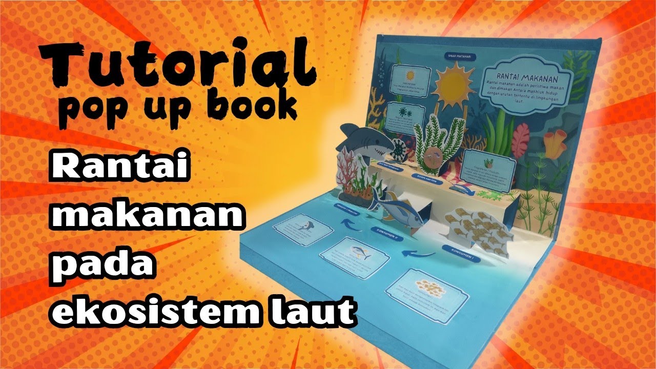 Tutorial Membuat Rantai Makanan Pada ekosistem laut - YouTube