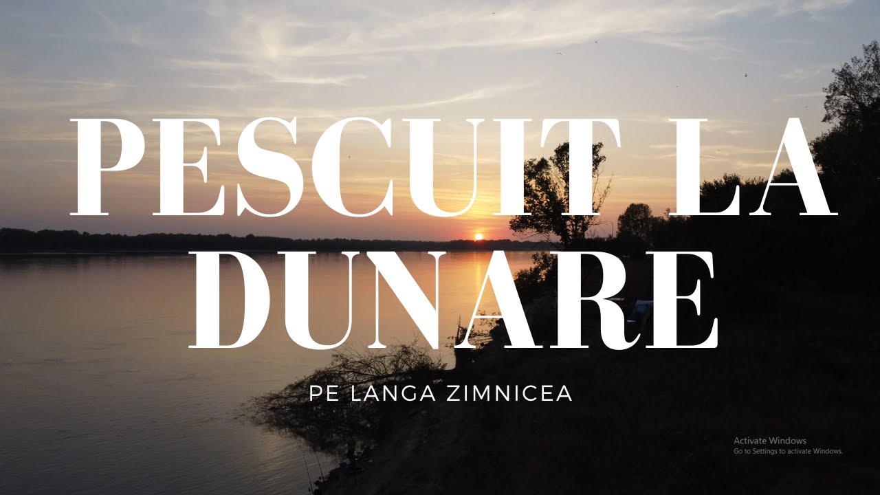 Pescuit la Dunare - Peste 10 specii de peste pe apa de 3m - YouTube