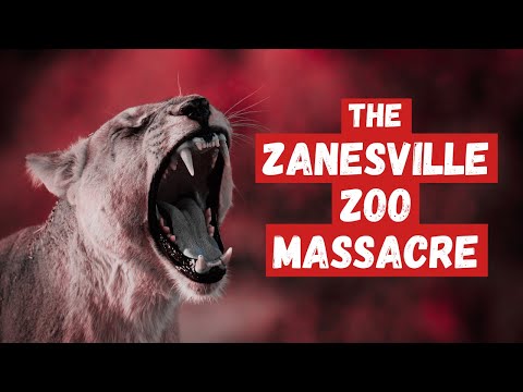 Zanesville Zoo Massacre | Ohio Wild Animal Escape - YouTube