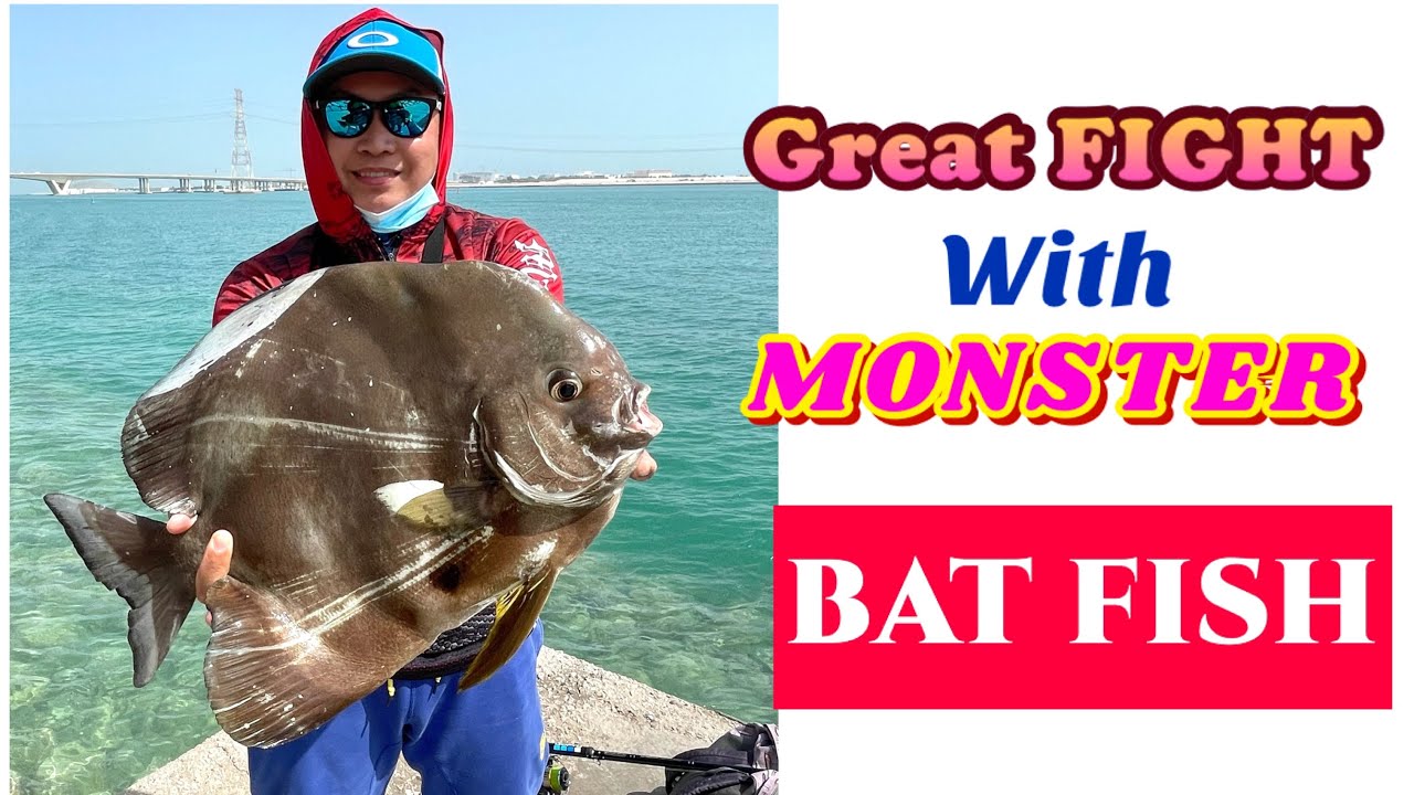 Catching BAT FISH Unlocked rare species - YouTube