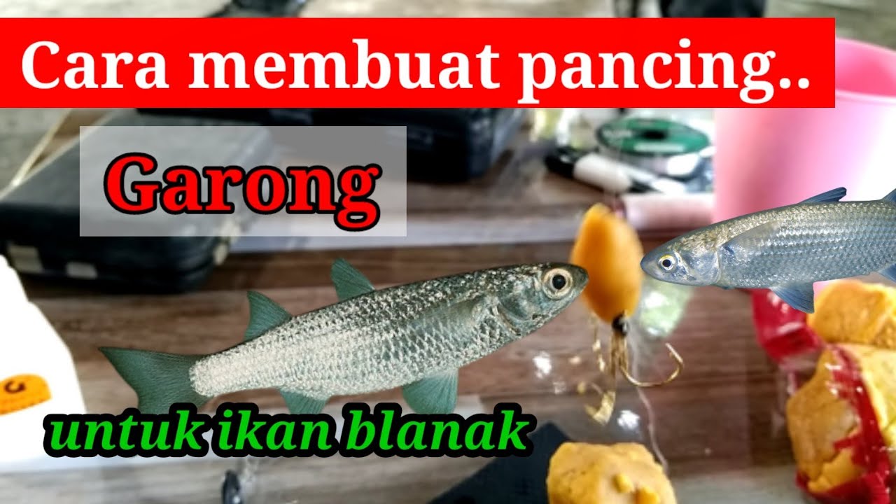 Cara membuat pancing garong ikan blanak - YouTube